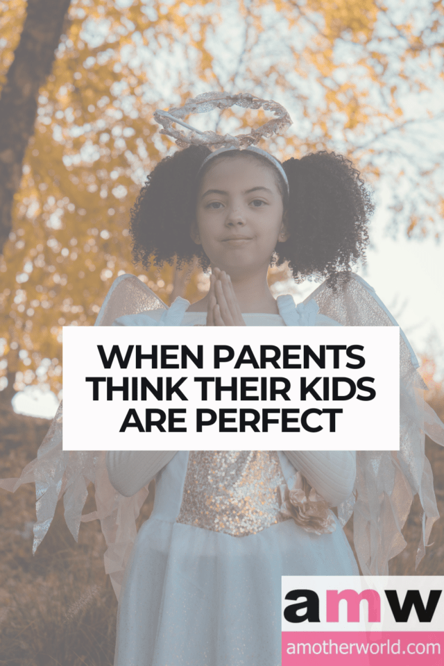 When Parents Think Their Kids Are Perfect | amotherworld