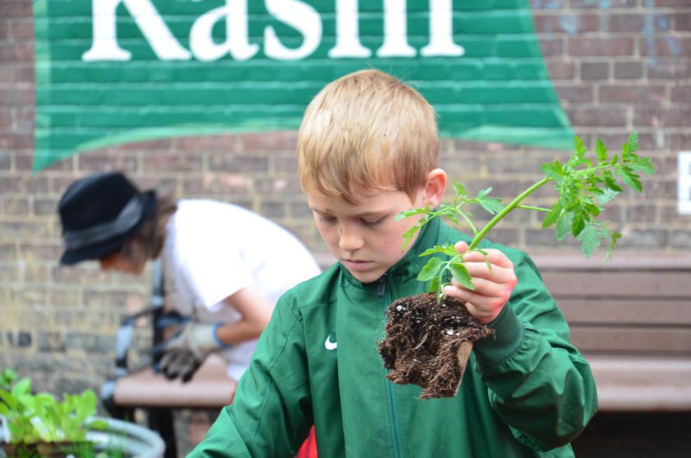 6 Tips to Grow an Edible Garden (Giveway) | amotherworld