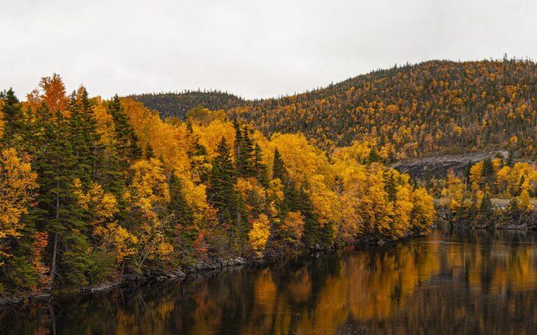 The Best Places to Visit in Fall Canada for Beautiful Colours