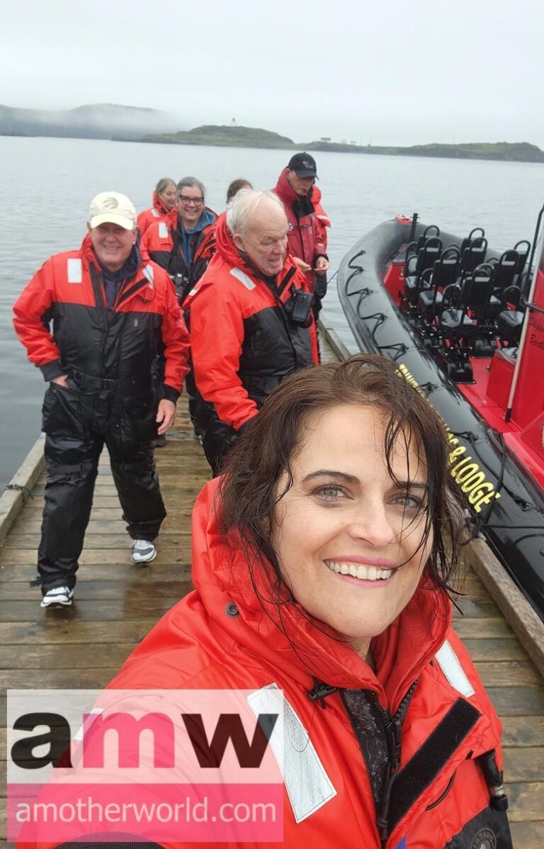 7 Amazing Things to Do Outdoors in Eastern Newfoundland